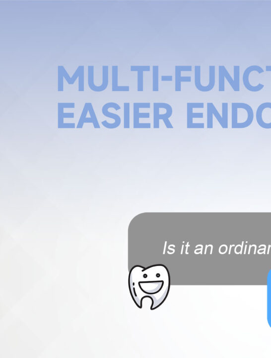 Multi Function Endo Box - Complete Range of Professional Endodontic ...