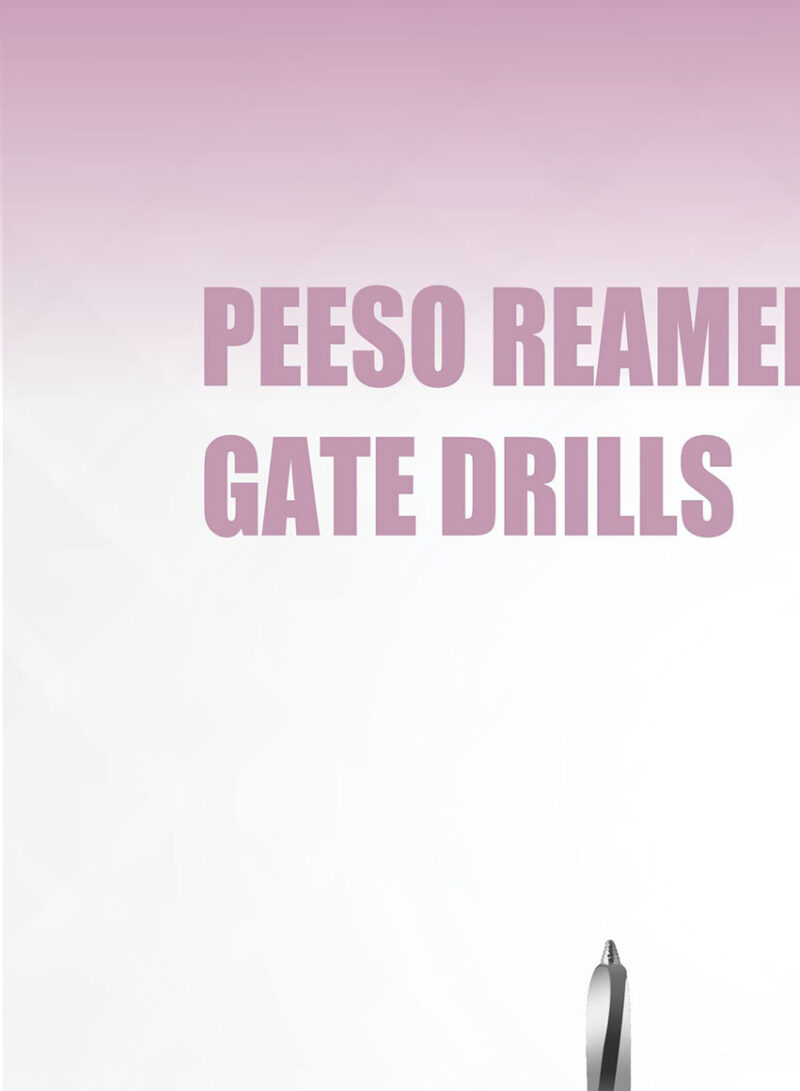 Peeso Reamers Gate Drills - Complete Range of Professional Endodontic ...